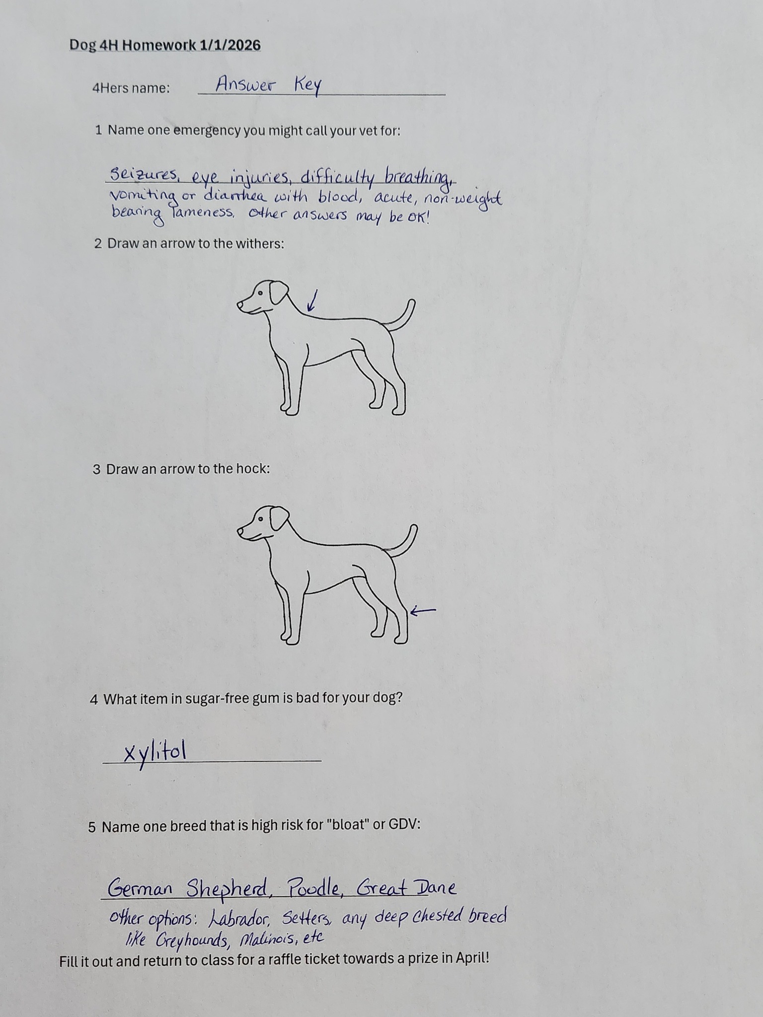 2026 Dog 4H Homework – Kolfyre Labradors