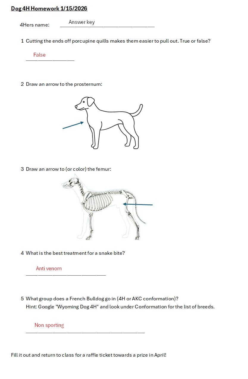 2026 Dog 4H Homework – Kolfyre Labradors