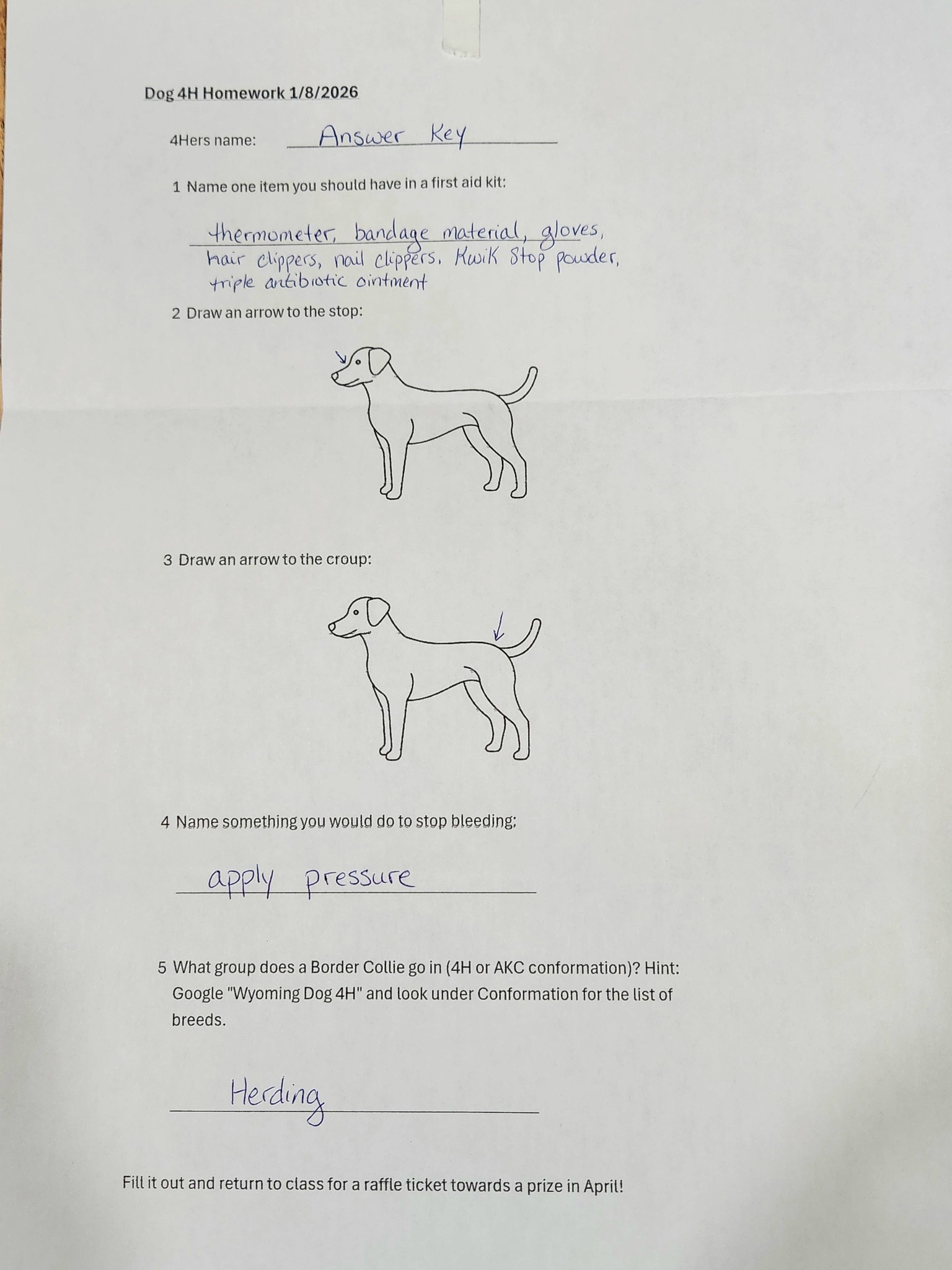 2026 Dog 4H Homework – Kolfyre Labradors